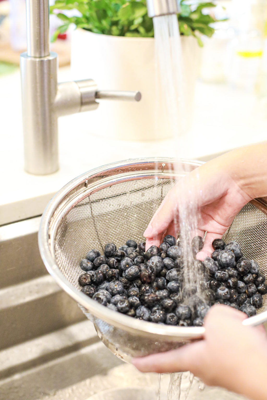 Blueberries - Full of antioxidants and bursting with flavor!