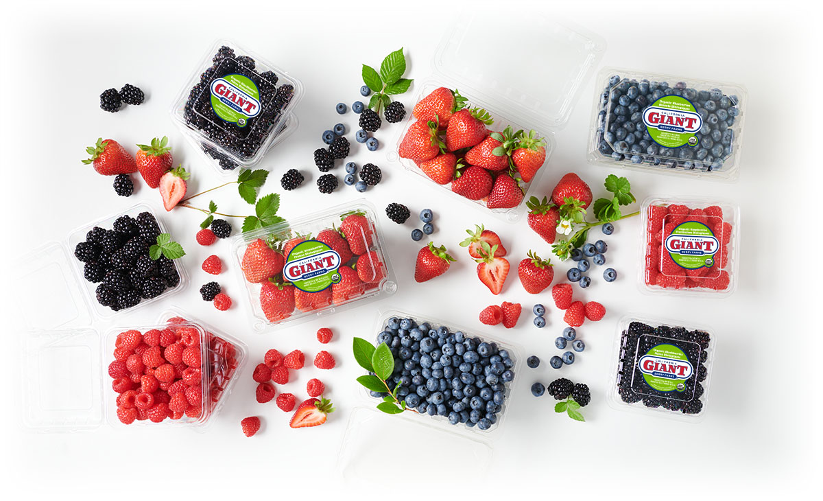 California Giant Berry Farms Showcases Peak Season Organic Berries and ...